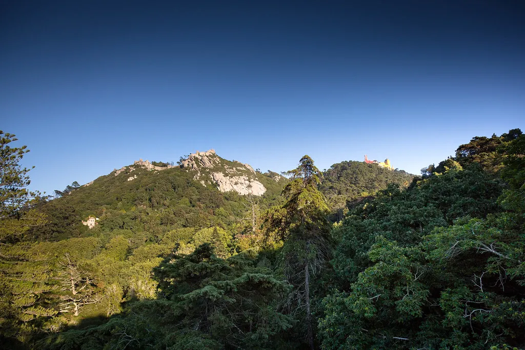 Sintra Castles Guide: Compare 5 Palaces & the Moorish Castle (2026)